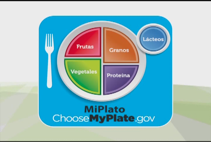 My Plate Spanish